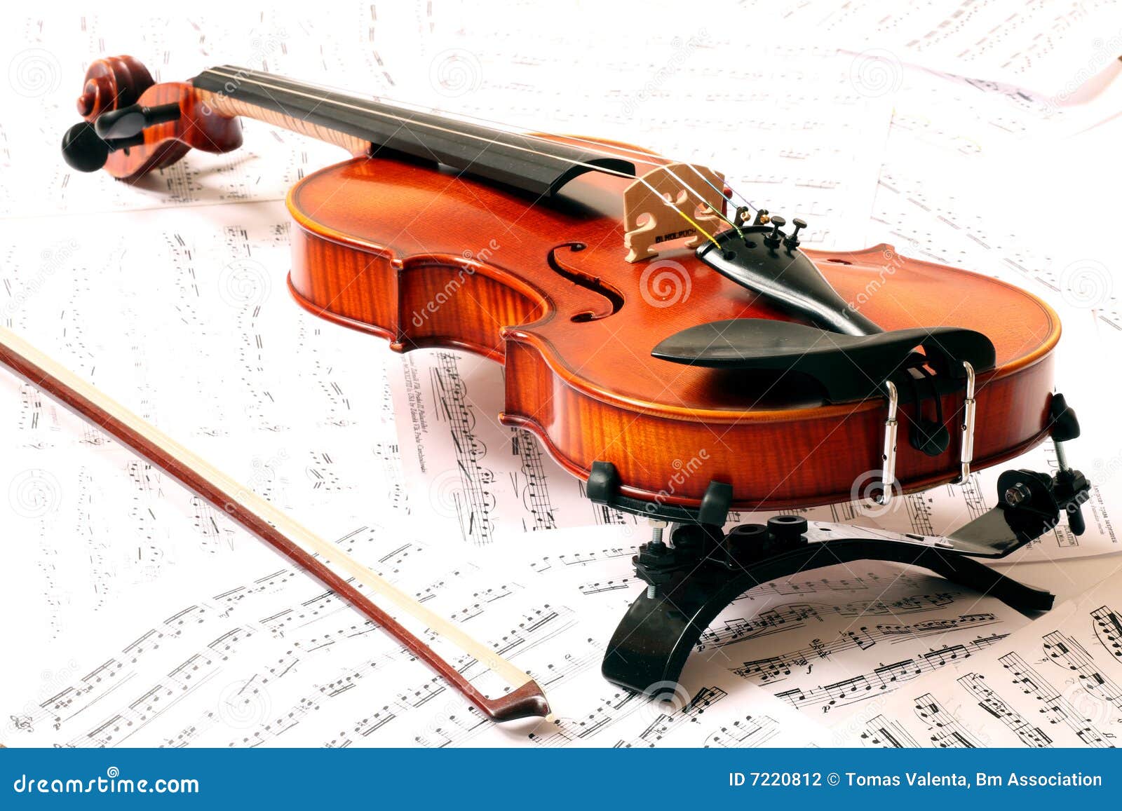 Violin stock photo. Image of isolated, music, instrumental - 7220812