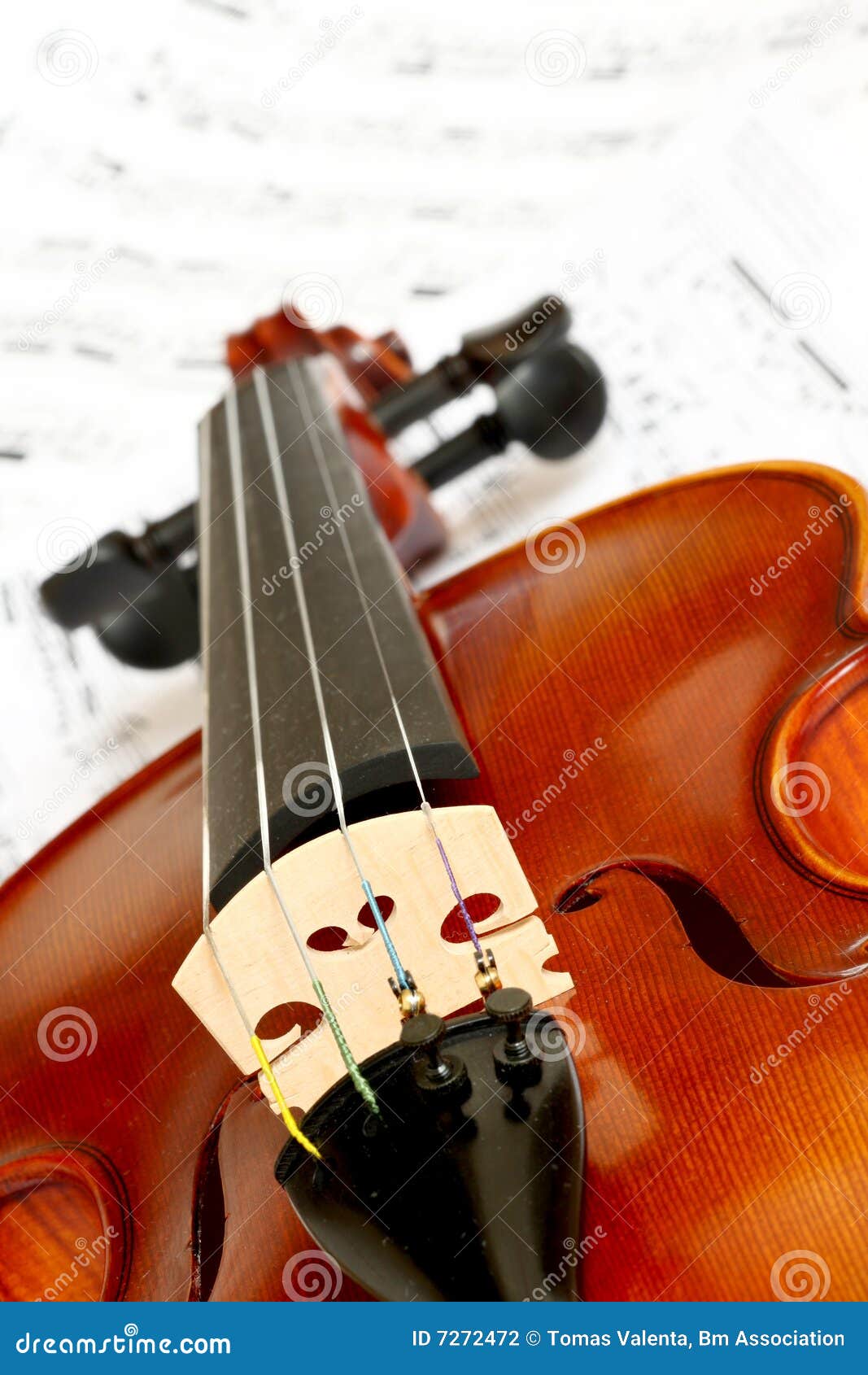 Violin stock photo. Image of music, detail, chamber, isolated - 7272472