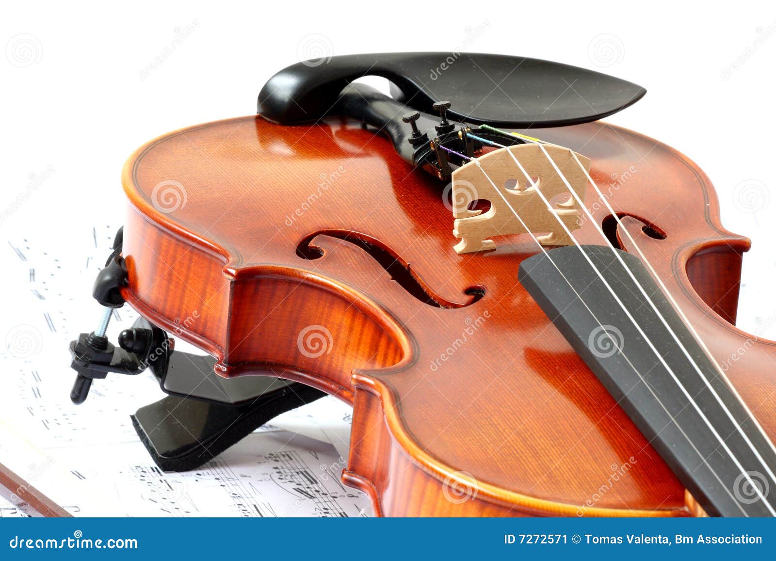 Violin stock image. Image of orchestra, entertainer, chamber - 7272571