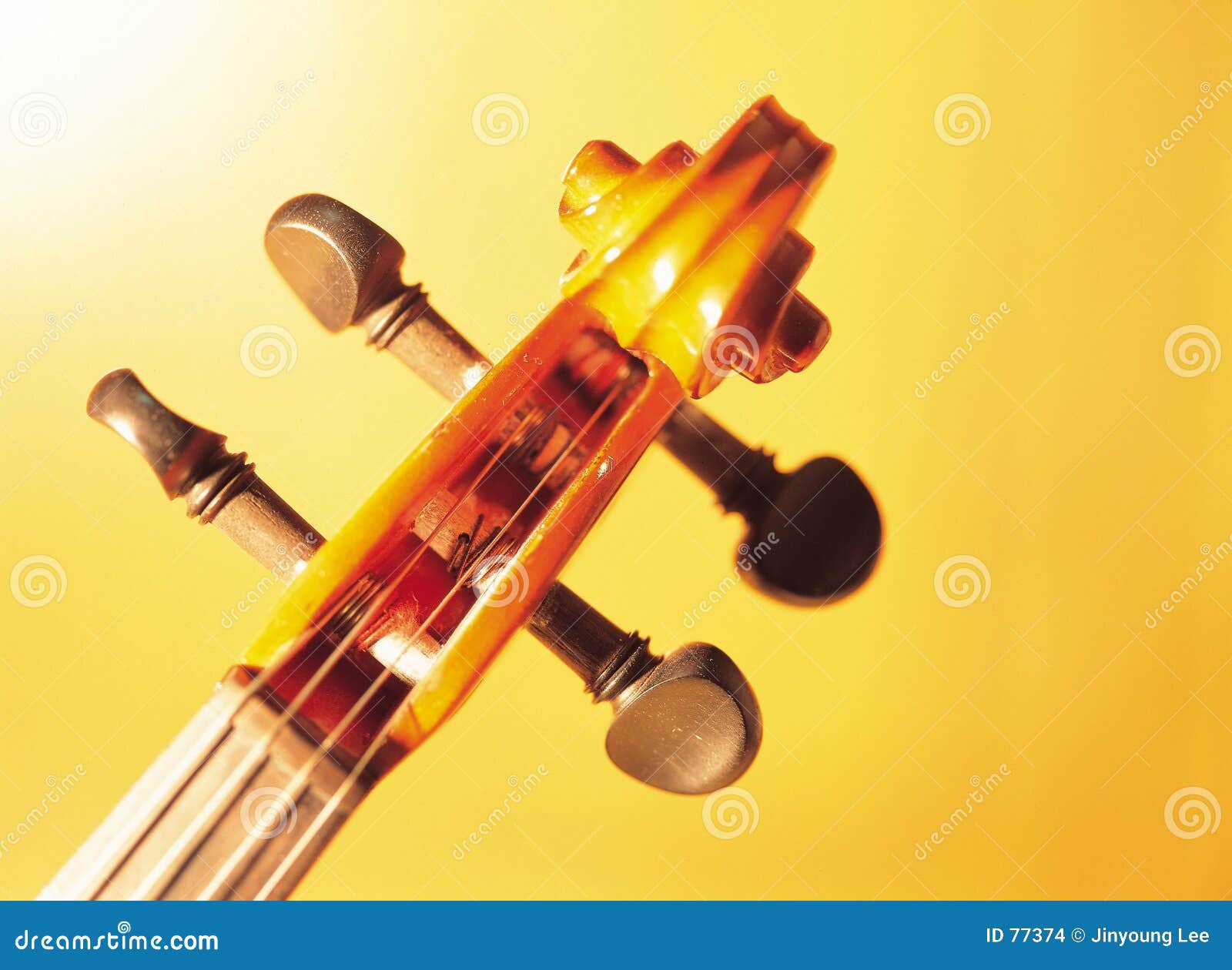 Violin stock photo. Image of instrument, chord, violin, music - 77374