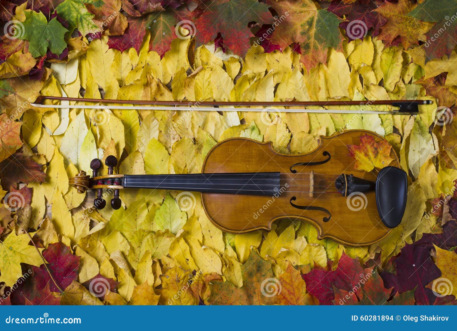 Violin Against the Backdrop of Autumn Foliage Stock Photo - Image of ...