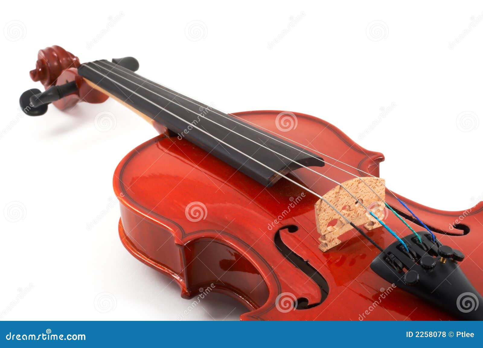 Violin Angled Closeup View on Stock Photo - Image of fiddle, closeup ...