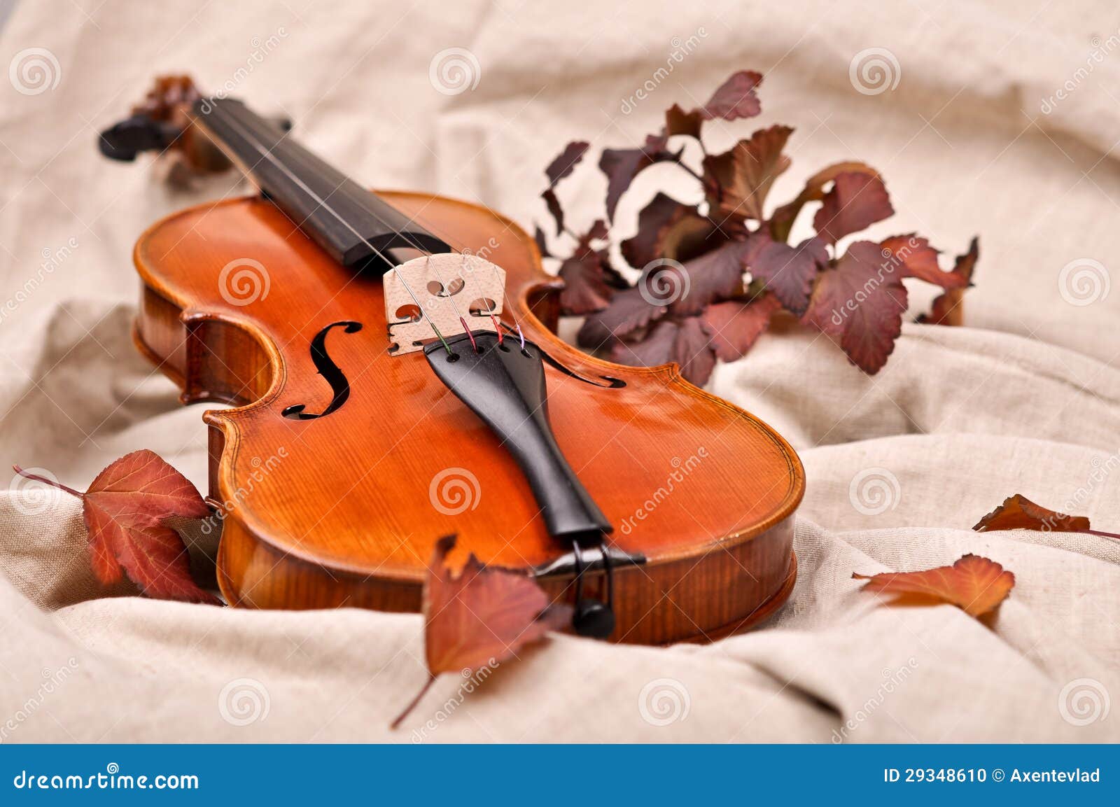 Violin and autumn leaves stock photo. Image of copyspace - 29348610