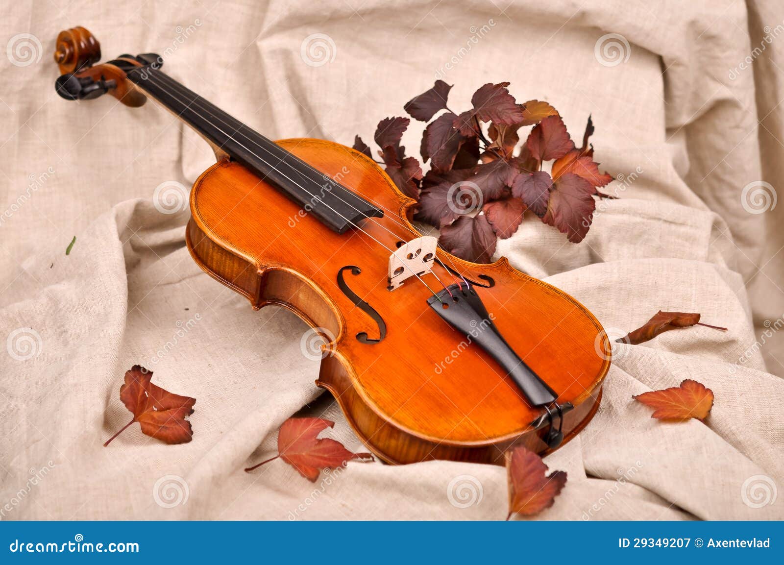 Violin and autumn leaves stock image. Image of music - 29349207