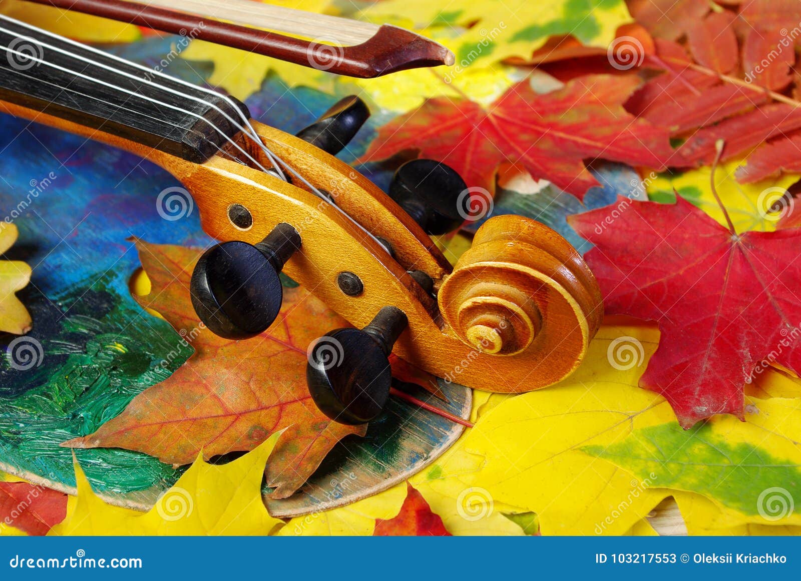 Violin and autumn leaves stock image. Image of fallen - 103217553