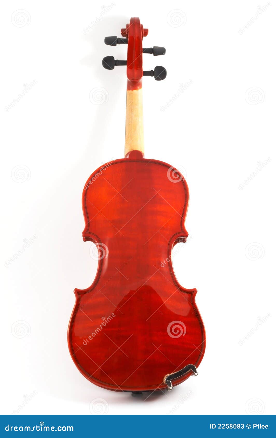 Front View Red Violin Isolated White Background Stock Photos - Free ...