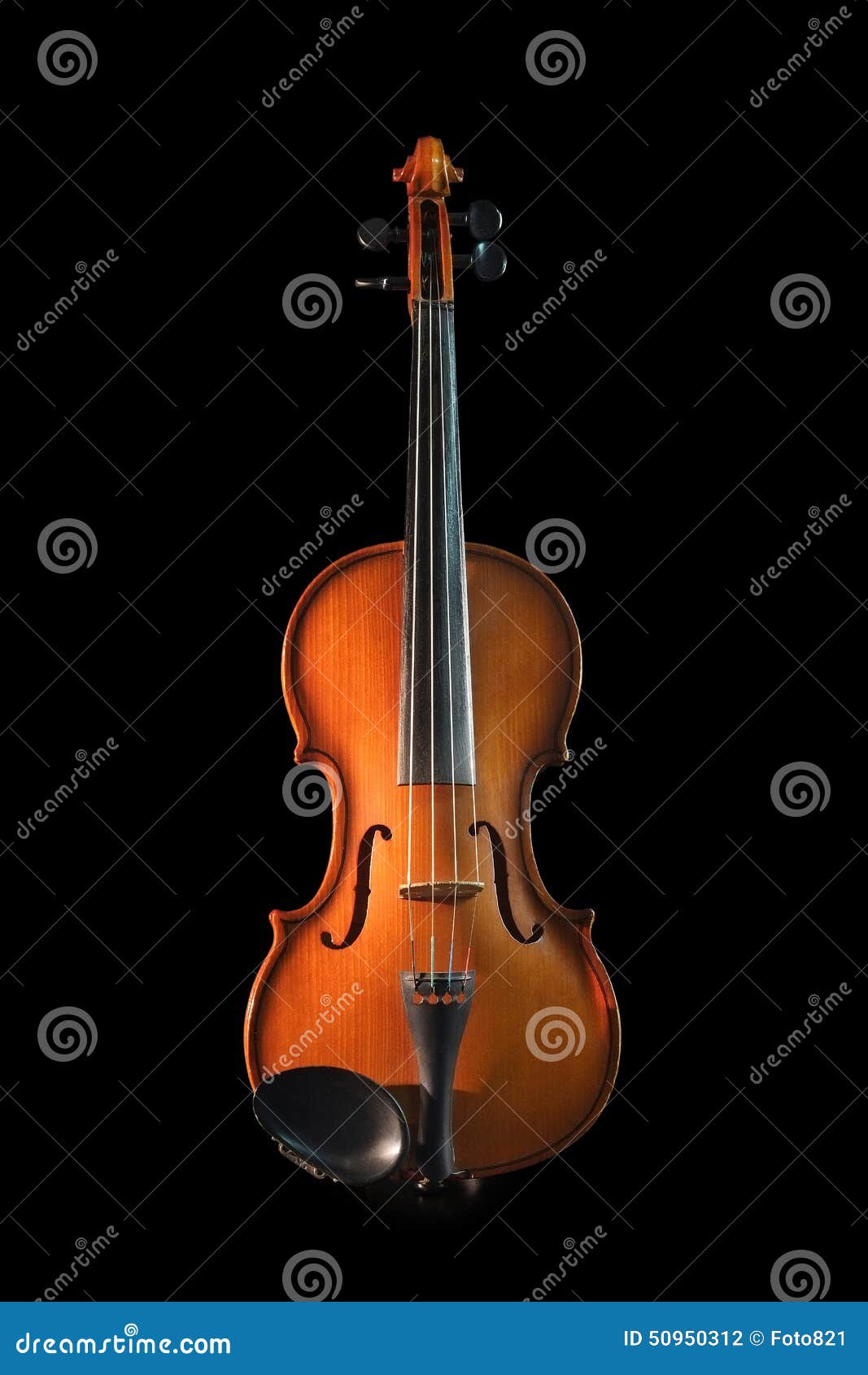 Violin stock photo. Image of close, viola, baroque, musician - 50950312