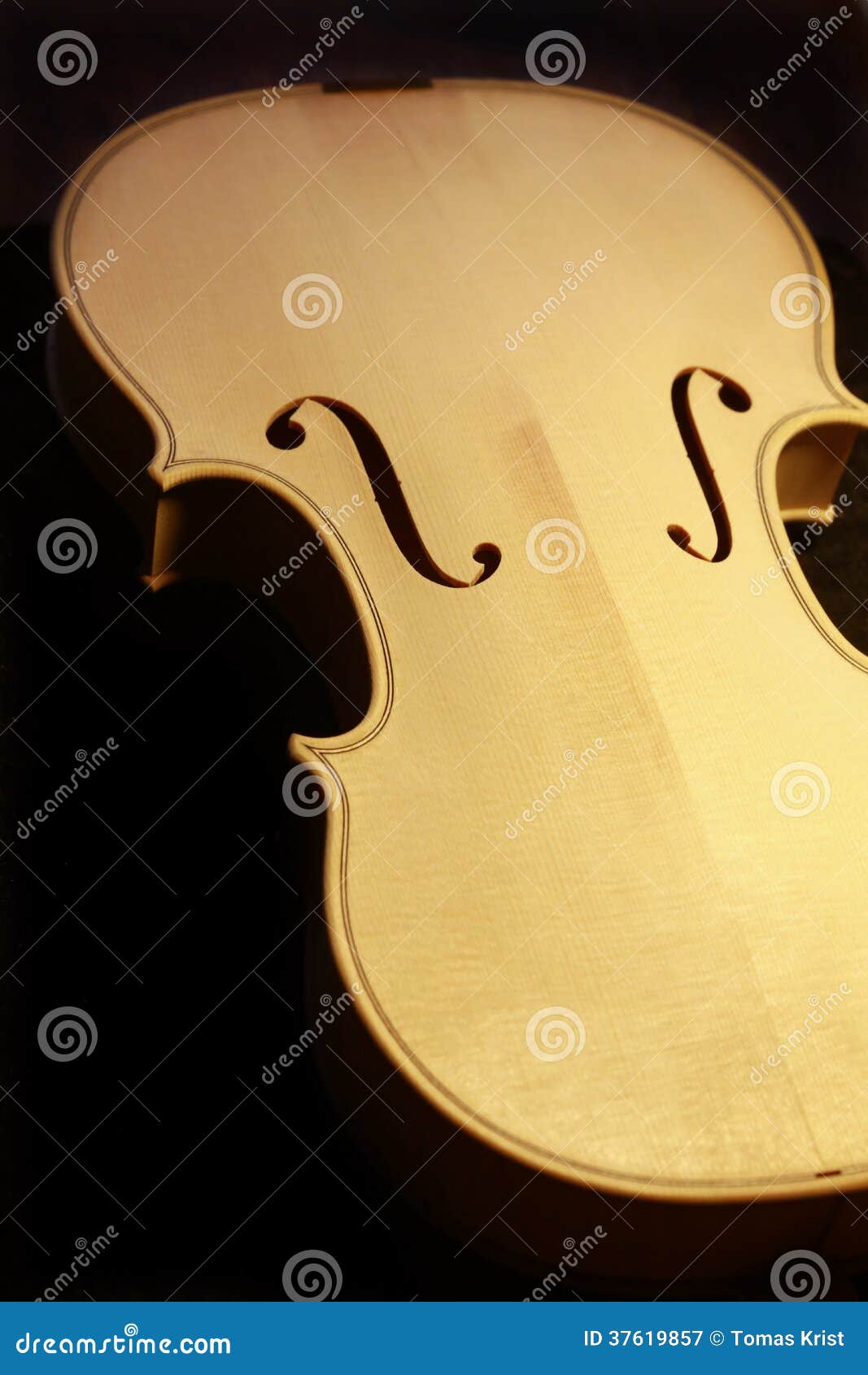 Violin body stock image. Image of close, viol, cello - 37619857