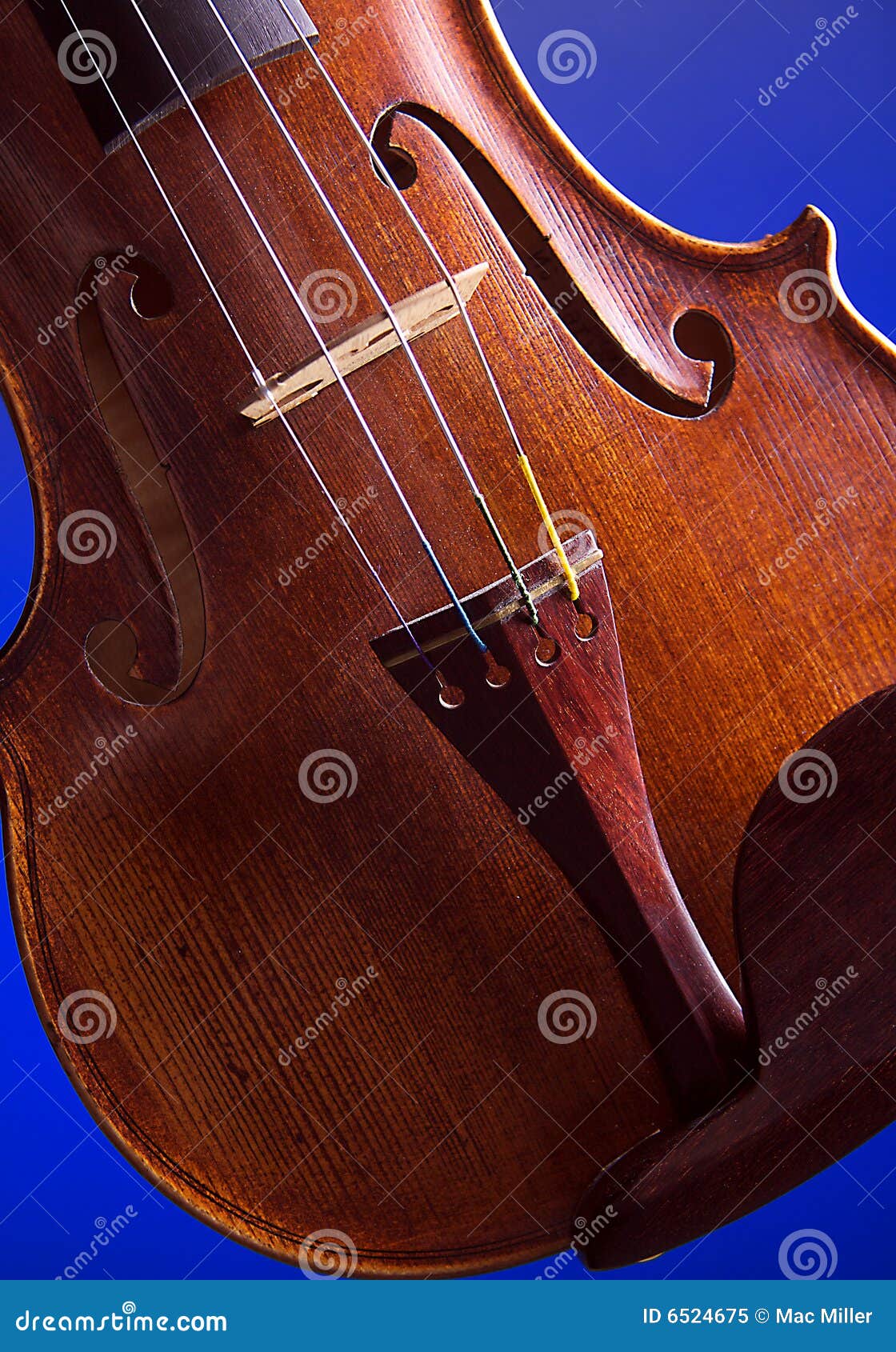 Violin Body Closeup Isolated Bk Stock Image - Image of melody, fingers ...