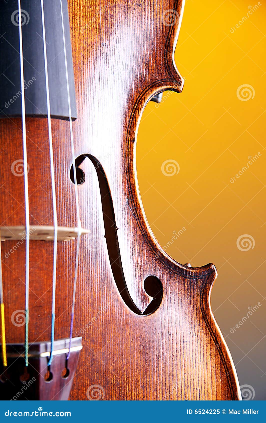 Violin Body Closeup Yellow Bk Stock Image - Image of bowed, baroque ...