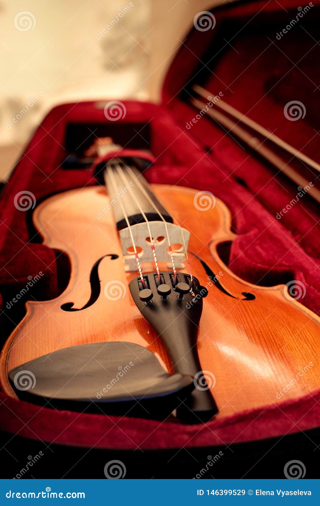 Violin and Bow in Dark Red Case. Close Up View of a Violin Strings and ...