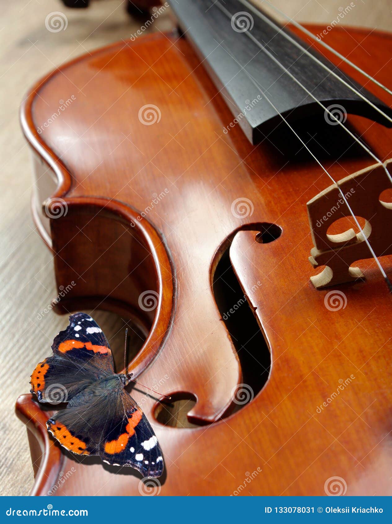 Violin and Butterfly. Neck of a Violin . Butterfly Large Tortoiseshell ...