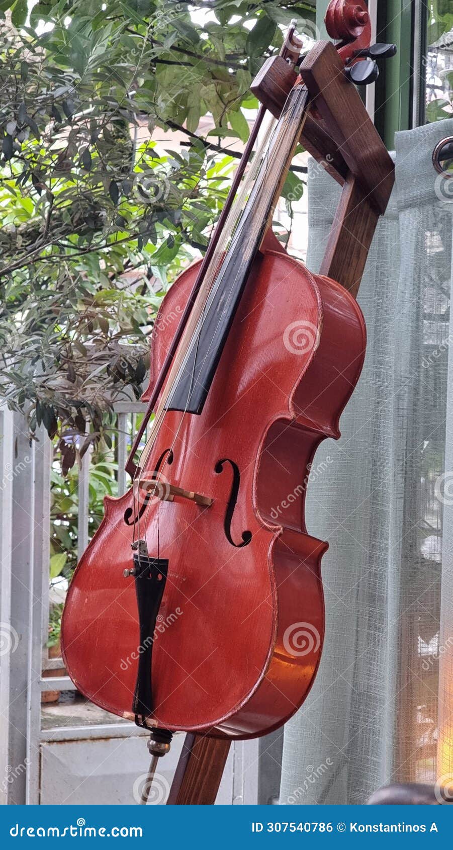 Violin Cello Decor by the Window of the Garden Trees Stock Photo ...