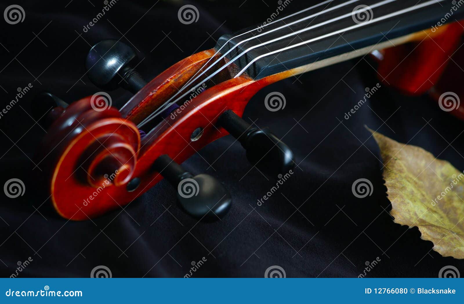 Violin Classic String Instrument Stock Photo - Image of classic, music ...
