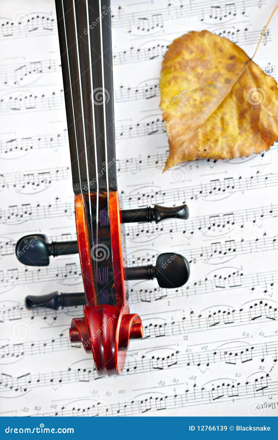 Violin Classic String Instrument Stock Image - Image of string, classic ...