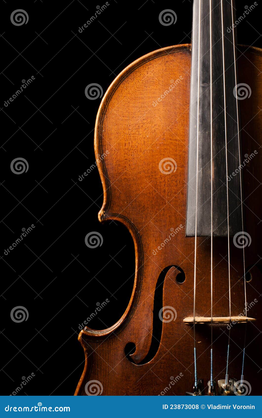 Violin close up stock photo. Image of performance, orchestra - 23873008