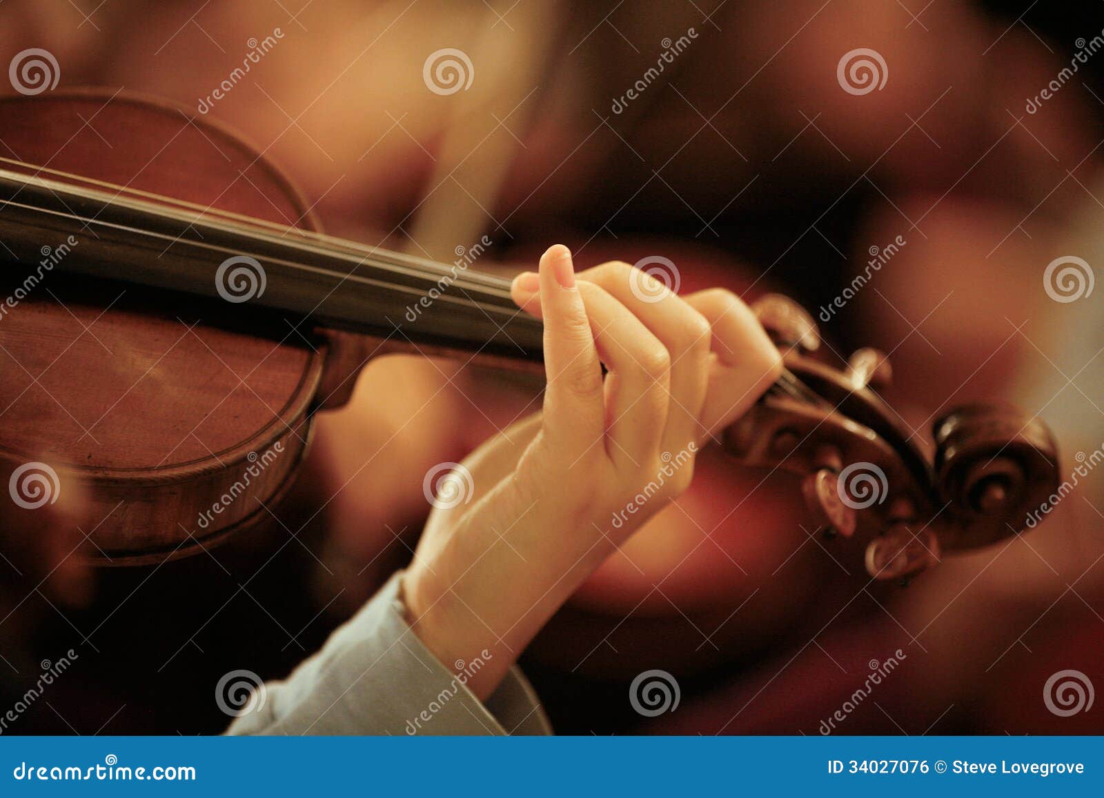 Violin stock photo. Image of performance, orchestra, instrument - 34027076