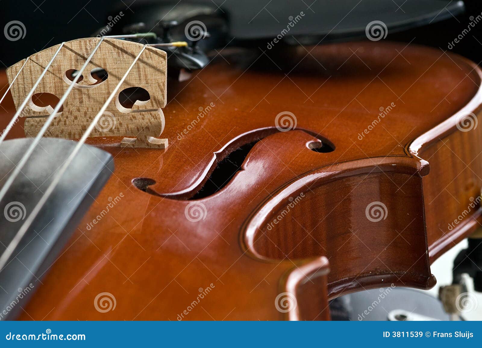 Violin closeup stock image. Image of chord, closeup, play - 3811539