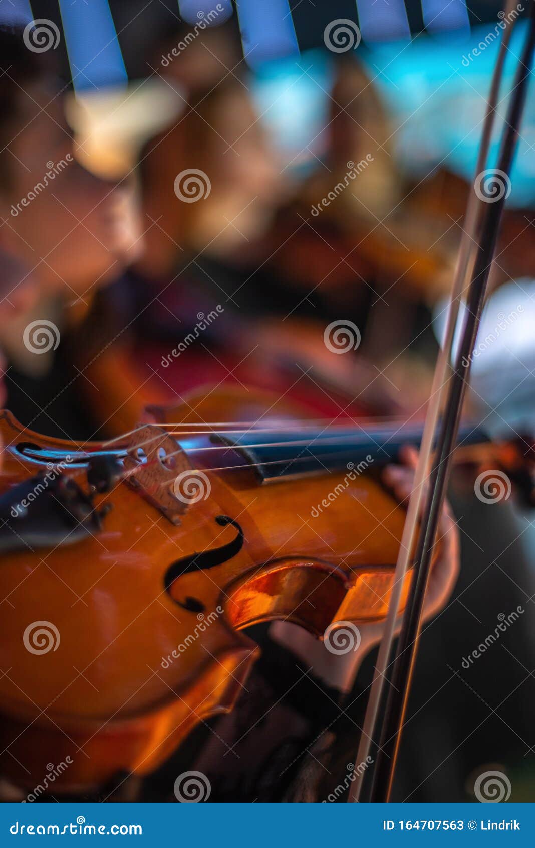Violin at a concert stock image. Image of musician, professional ...