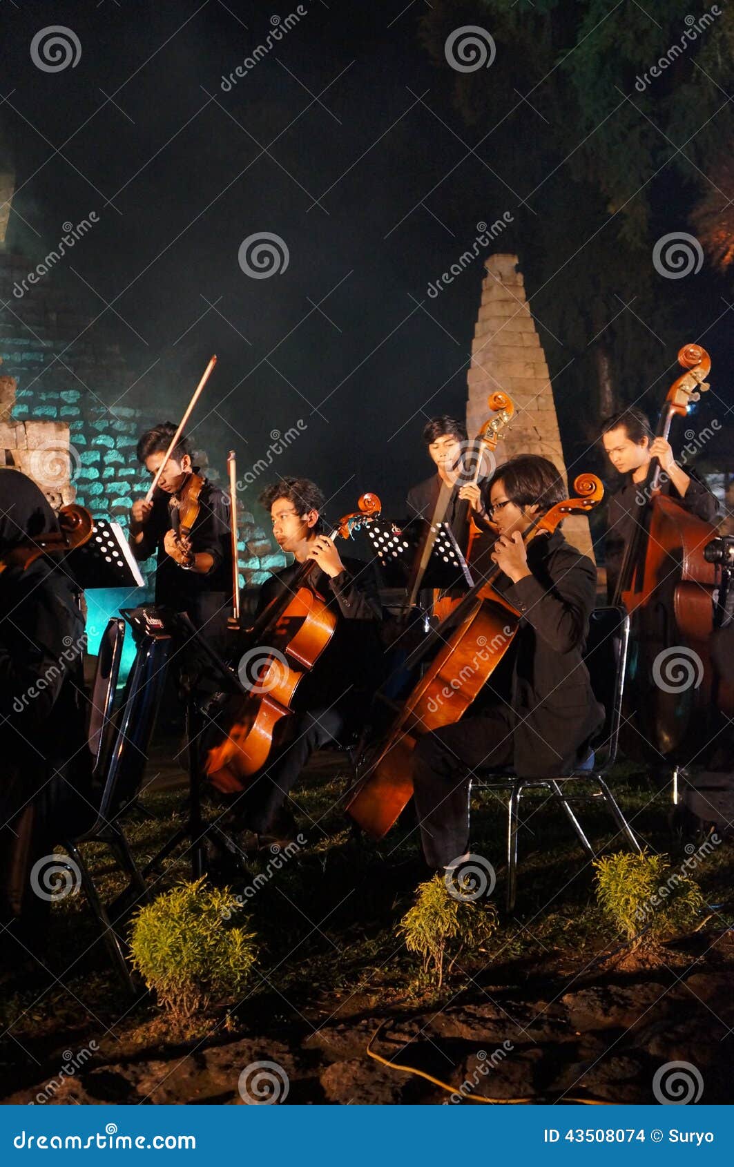 Violin in concert editorial stock image. Image of playing - 43508074