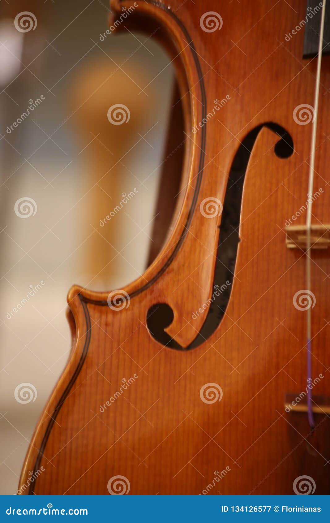 Violin Detail with Strings . Stock Image - Image of stringed, concert ...