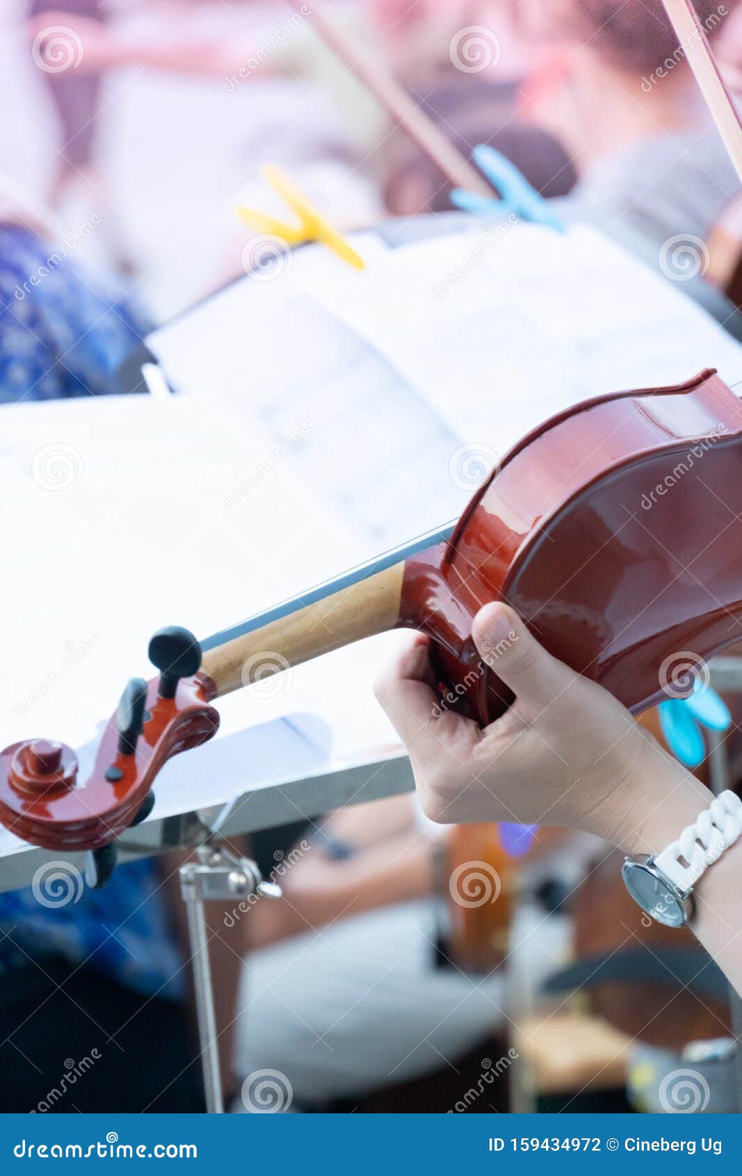 Violin, Stringed Instrument Stock Photo - Image of rehearsal, hobby ...