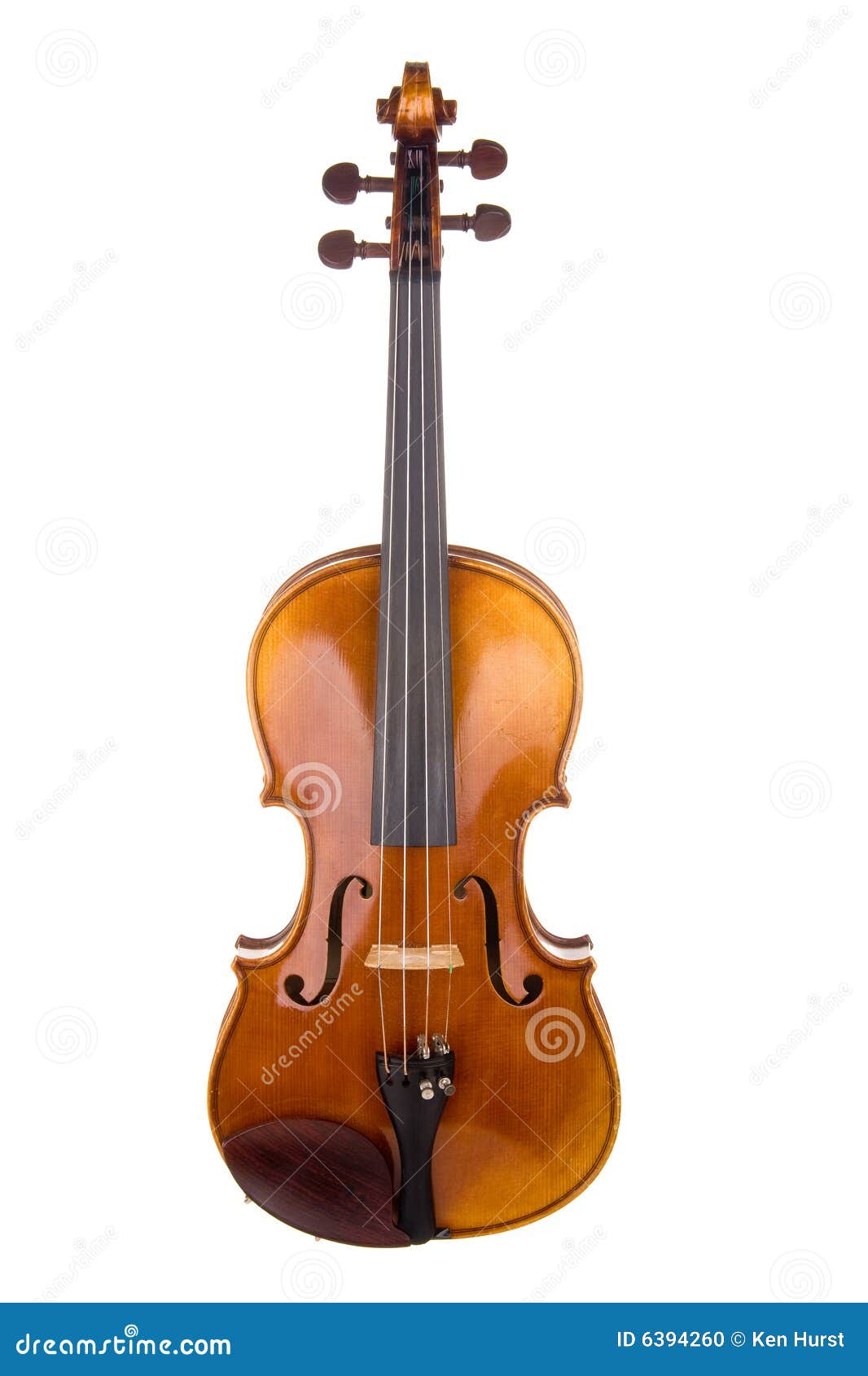 Violin Front View stock photo. Image of fiddle, violin - 6394260