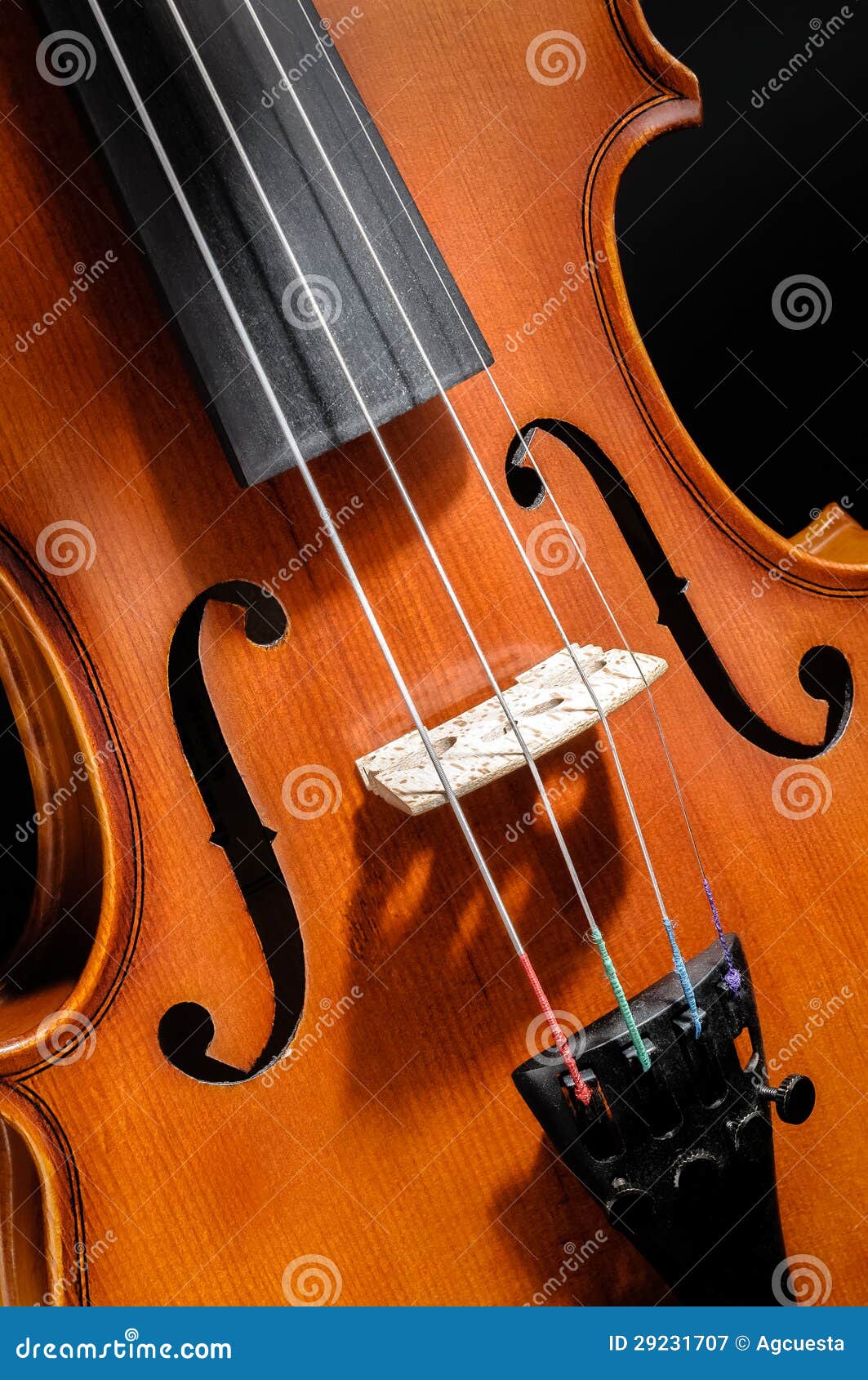 Violin front view cropped stock image. Image of instrument - 29231707