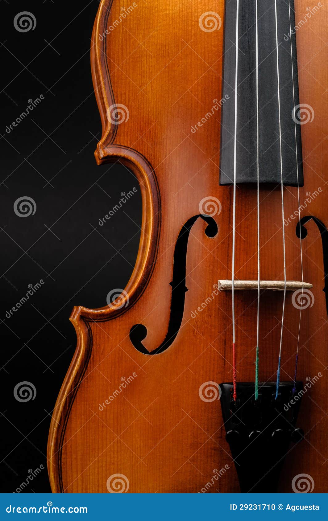 Violin front view cropped stock photo. Image of harmony - 29231710