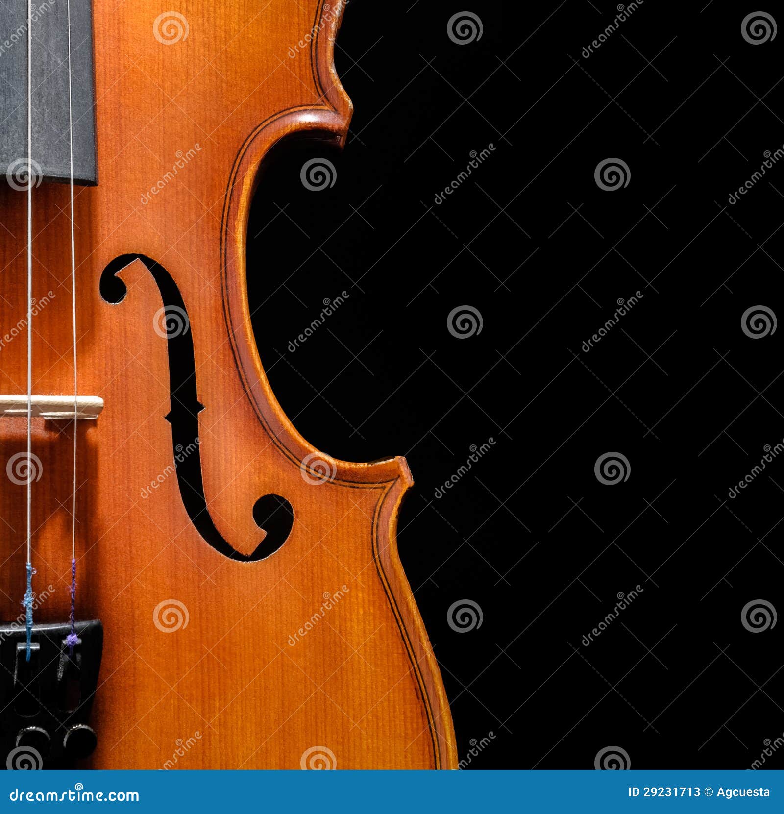 Violin front view cropped stock image. Image of isolated - 29231713