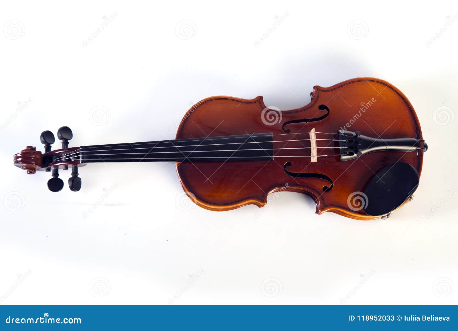 Violin Front View Isolated on White. Stock Image - Image of concert ...