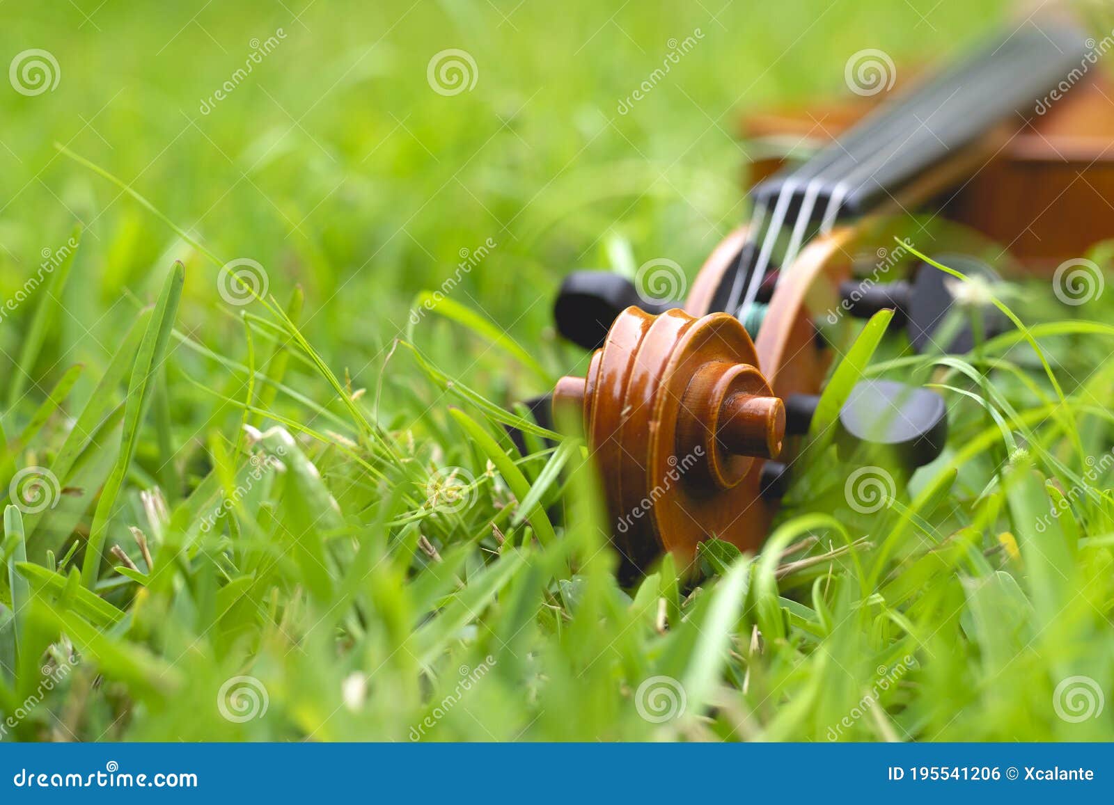 Violin on Grass String Instrument Stock Photo - Image of clasical ...