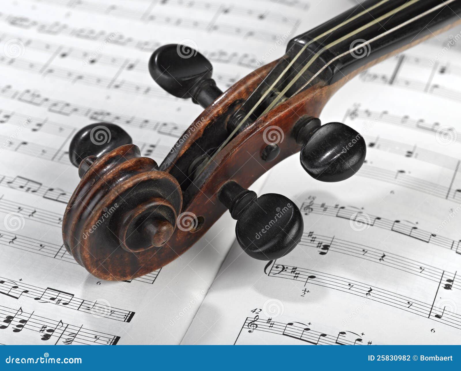 Violin head stock photo. Image of work, musical, sonata - 25830982