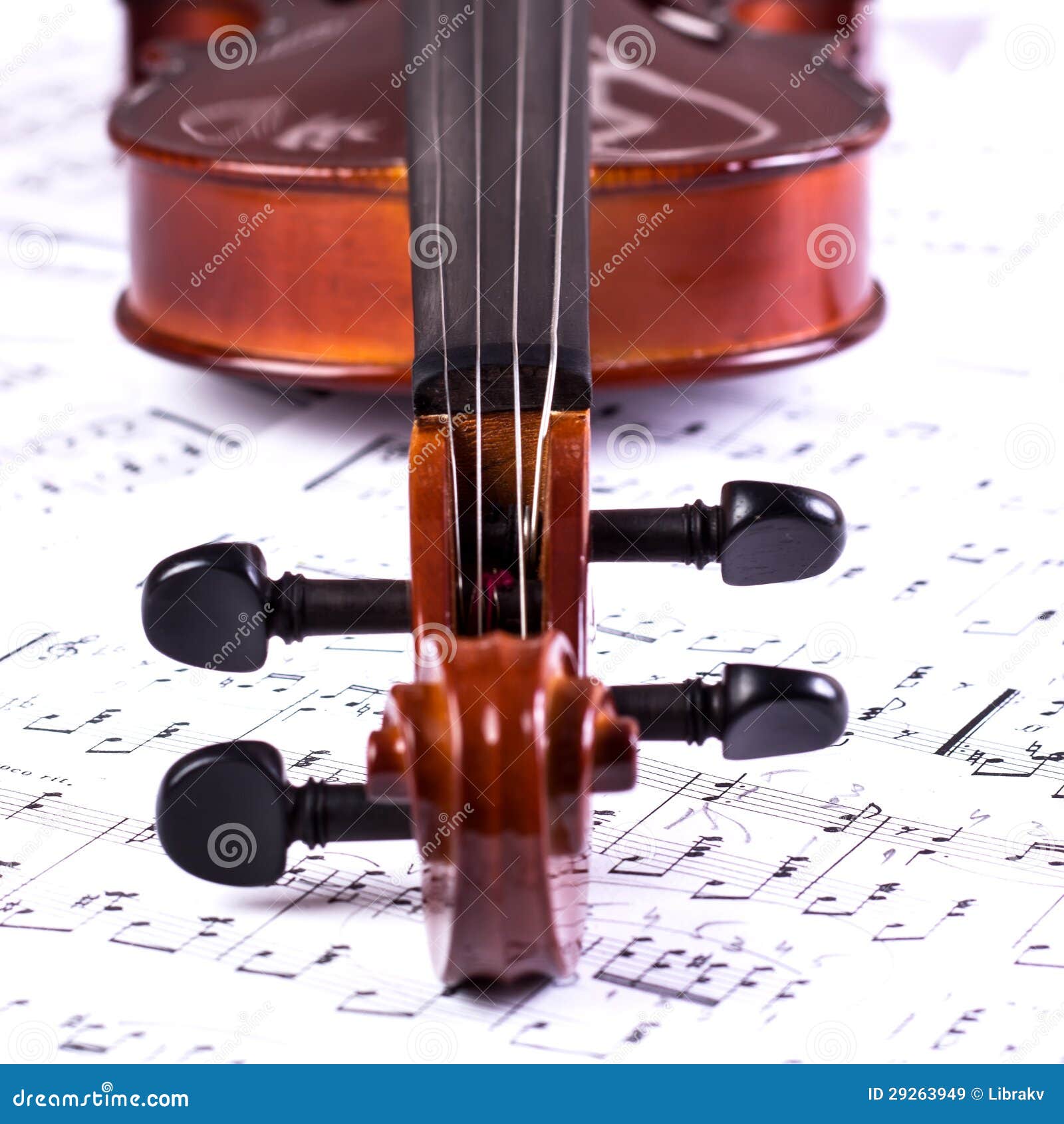 Violin head stock image. Image of white, sheet, instrument - 29263949