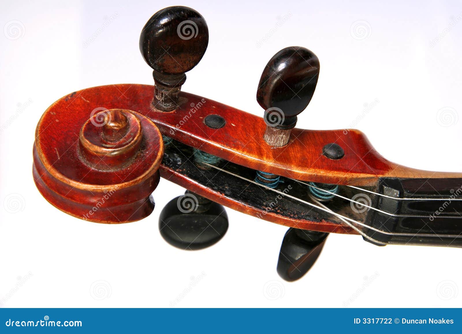 Violin Head stock photo. Image of classics, prepare, practice - 3317722