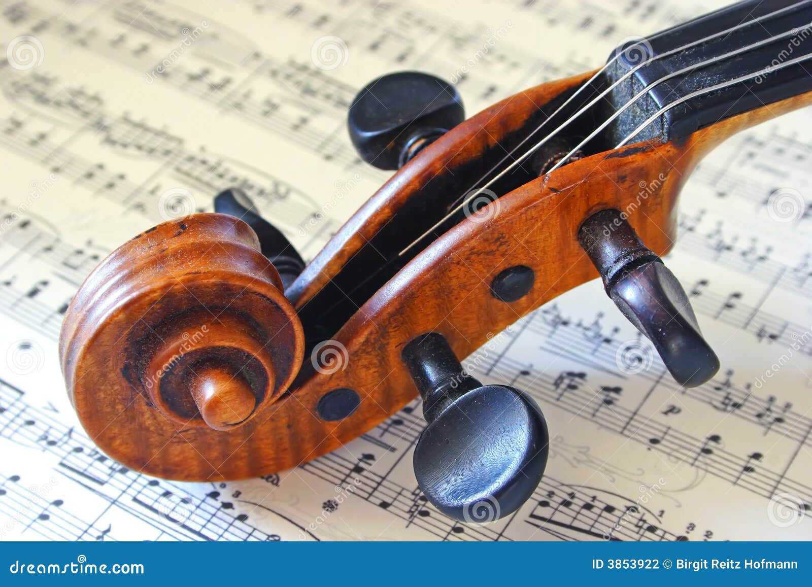 Violin Head stock photo. Image of isolated, fingerboard - 3853922