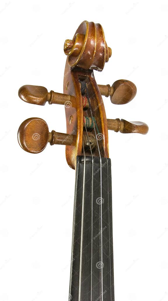 Violin head stock image. Image of concert, classical, musical - 6963945