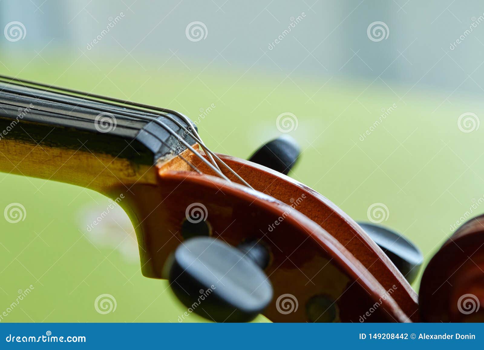 Violin Head on Green Background Stock Photo - Image of light, closeup ...