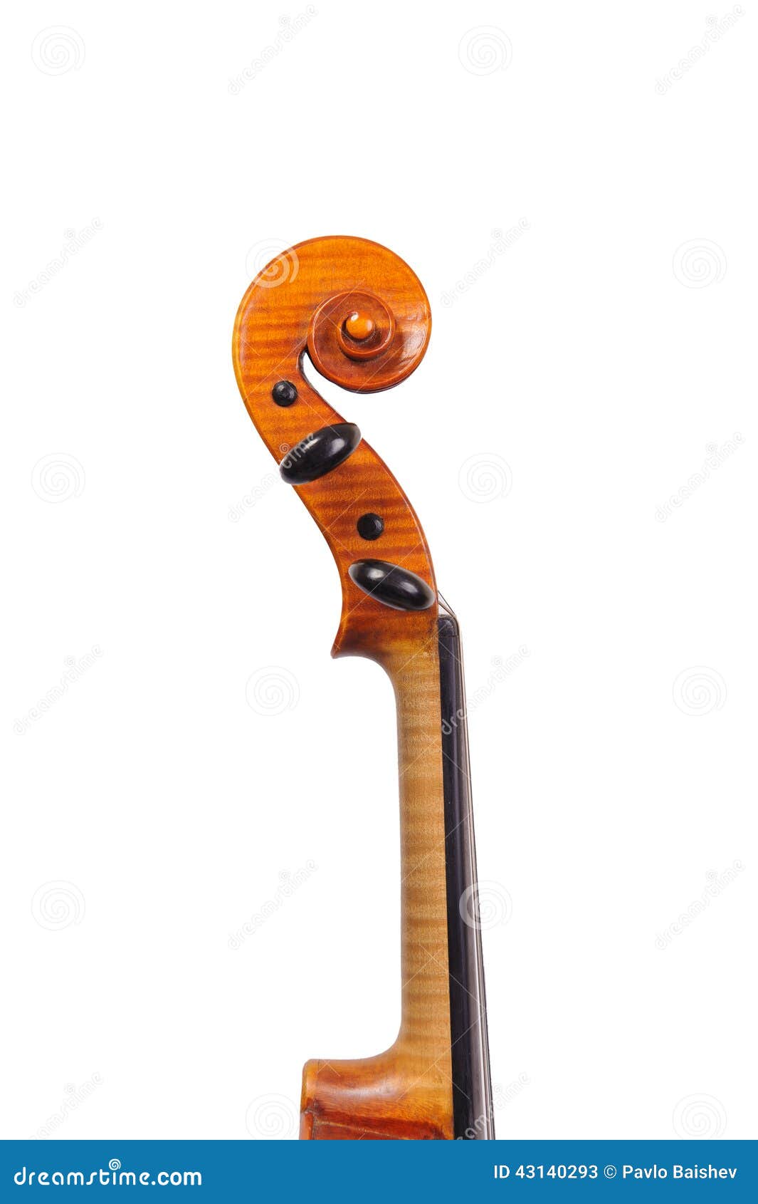 Violin head stock image. Image of shape, music, isolated - 43140293