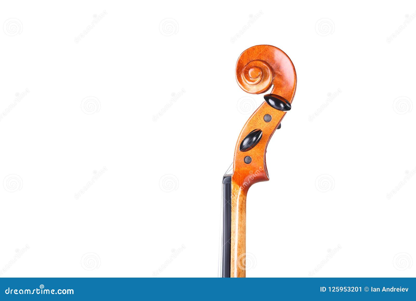 Violin head stock image. Image of antique, fiddle, brown - 125953201