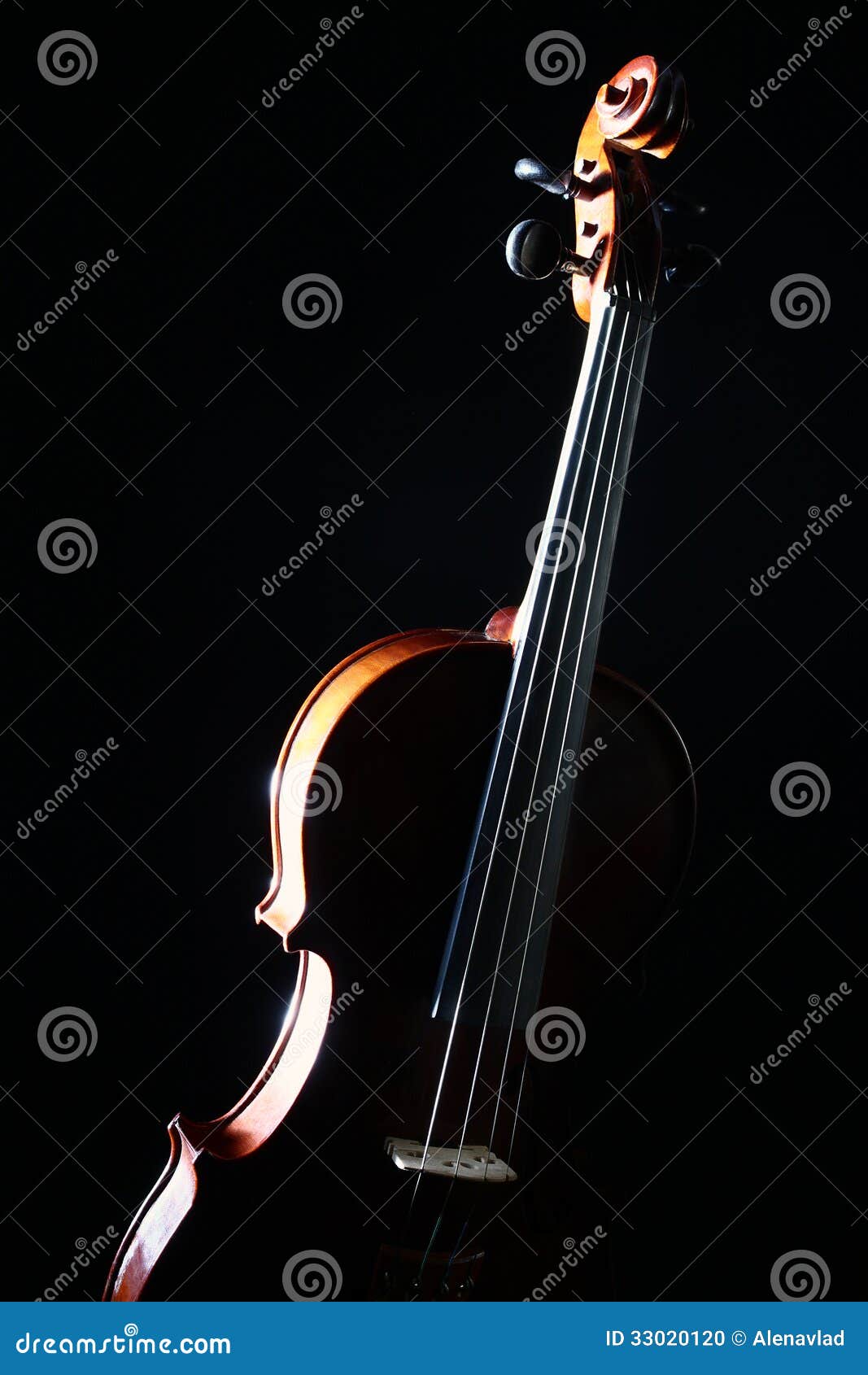 Violin isolated on black stock photo. Image of string - 33020120