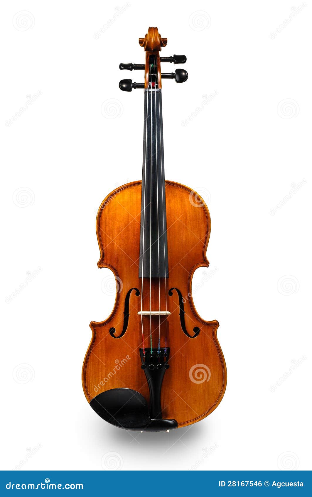 Violin isolated on white stock photo. Image of traditional - 28167546