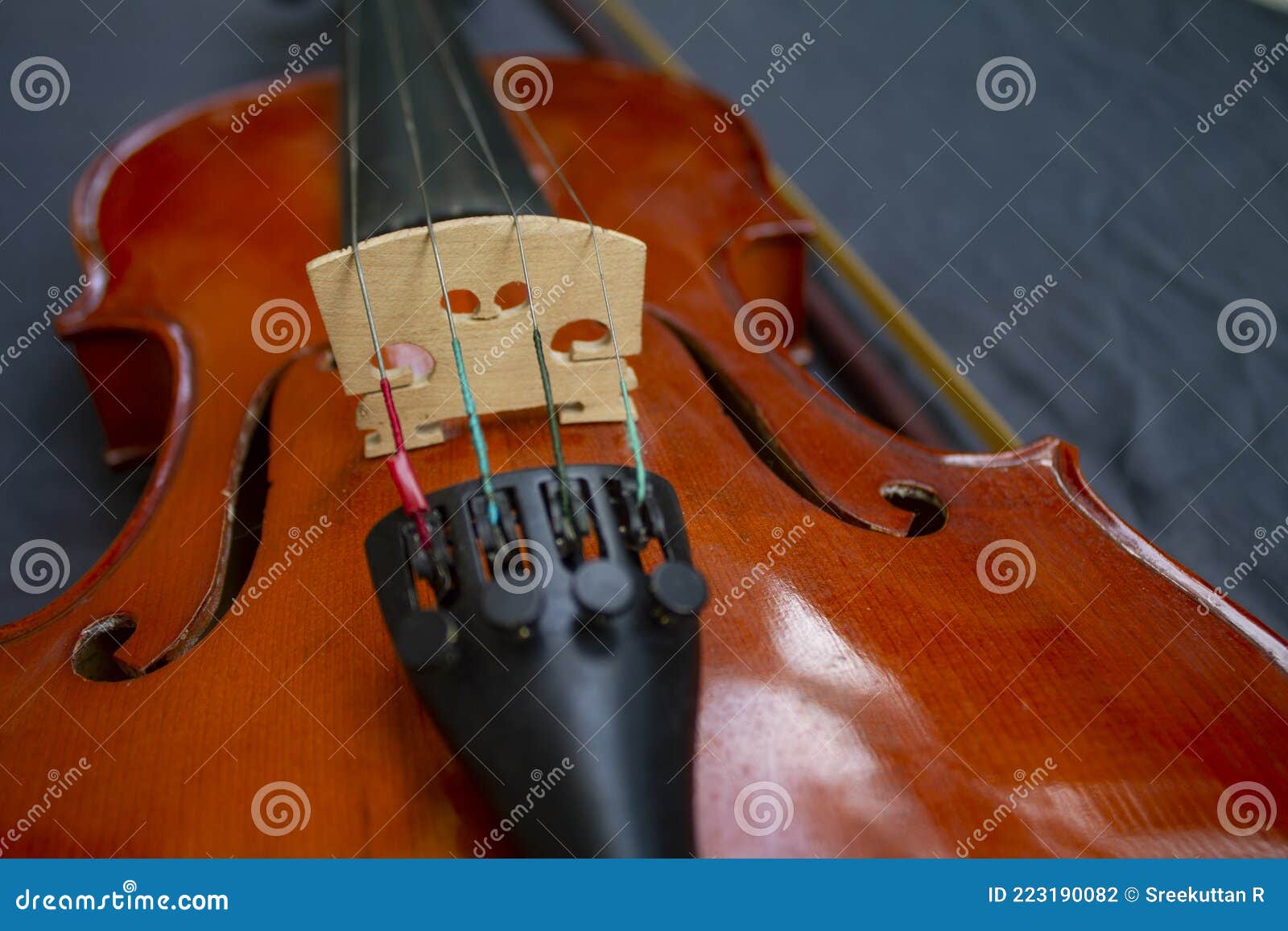 Violin Isolated on White Background. Texture Background Violin Stock ...