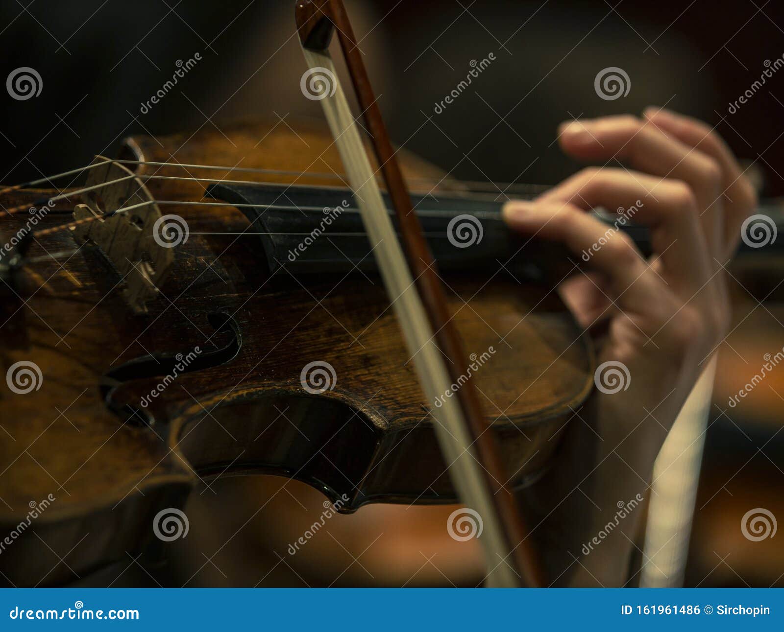Violin in a Large Close-up - Side View - Background - Symphony ...