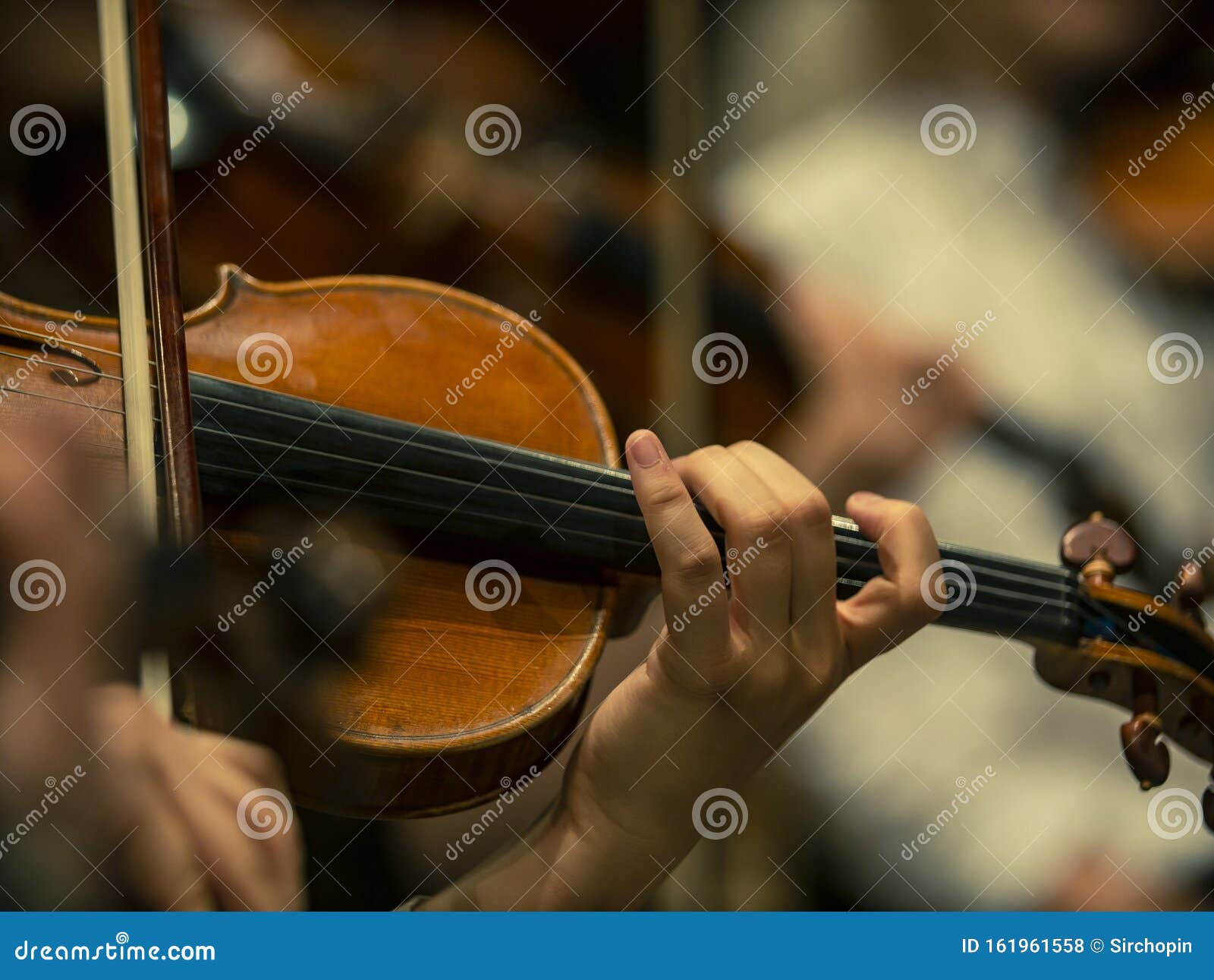 Violin in a Large Close-up - Side View - Background - Symphony ...