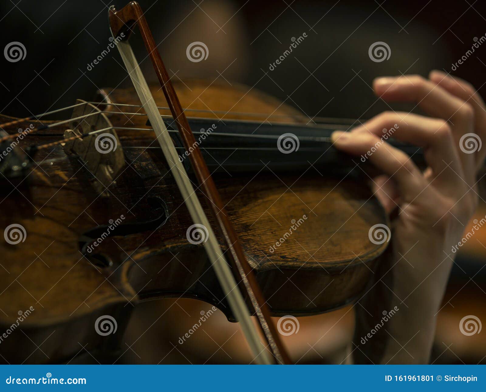 Violin in a Large Close-up - Side View - Background - Symphony ...