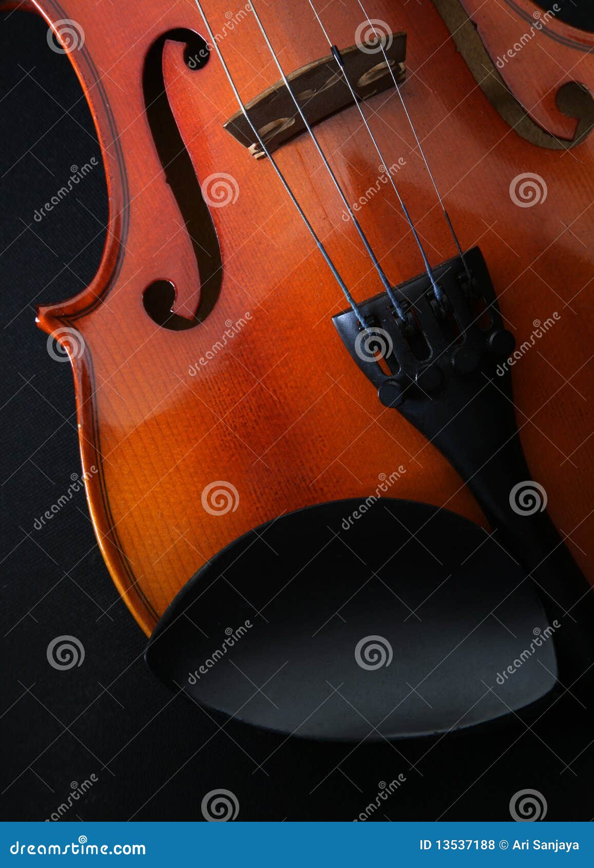 Violin music instruments stock photo. Image of tool, sound - 13537188