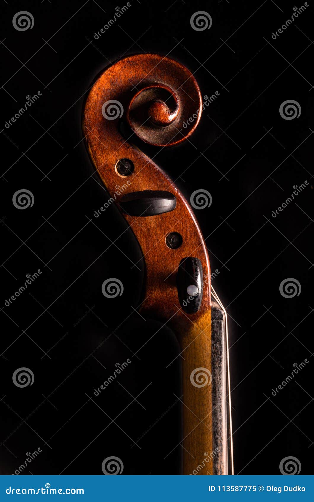 Side View of a Violin Pegbox, Isolated on Black Stock Image - Image of ...