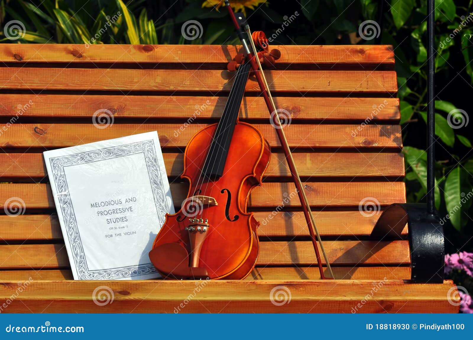 Violin and Musical Note on Bench Stock Photo - Image of relaxing ...