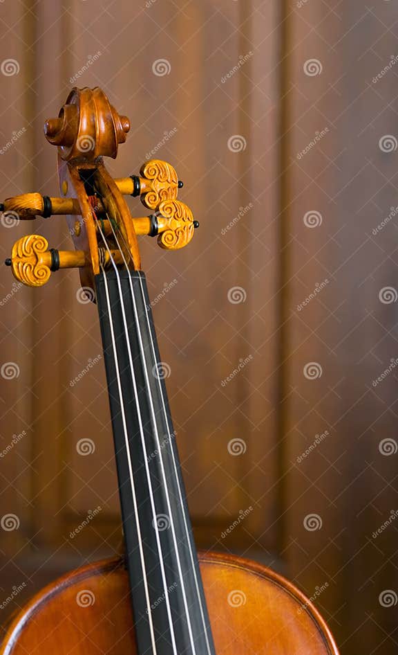Violin Neck stock photo. Image of instruments, music, elegance - 6419000